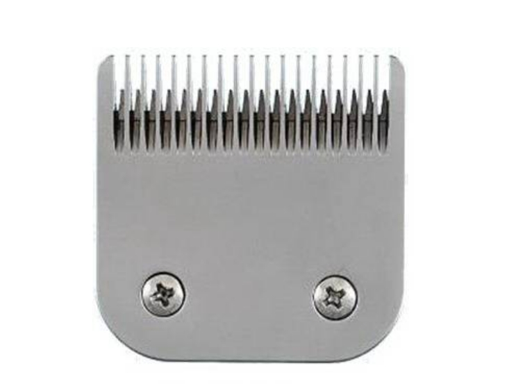 Stainless Steel Pharmacy Spatula | 200mm with Handle